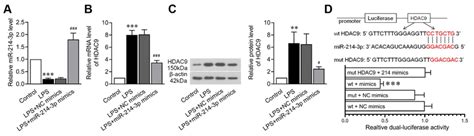Mir 214 3p Targets Hdac9 To Regulate Its Expression In Lps Treated