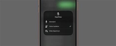 How To Reduce Background Noise In FaceTime With Voice Isolation