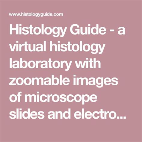 Histology Guide A Virtual Histology Laboratory With Zoomable Images