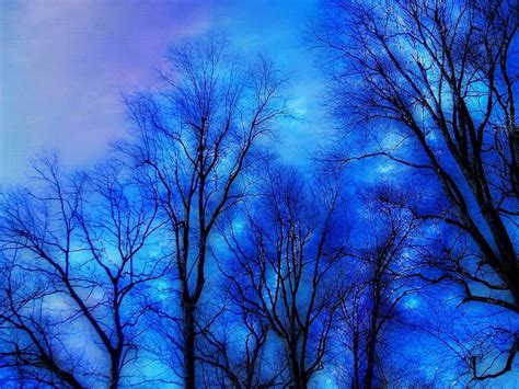 Imagine A World Of Blue 9 Pics Creative Photography