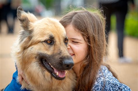 Limpact Positif Des Animaux De Compagnie Sur La Santé Humaine Une