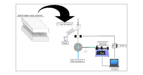 Coupling Of Solid Phase Microextraction Directly To Mass Spectrometry Via An Improved