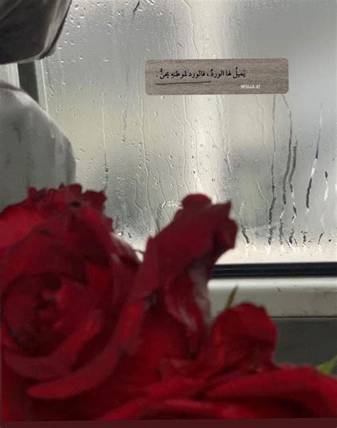 ورد احمر Nel 2024