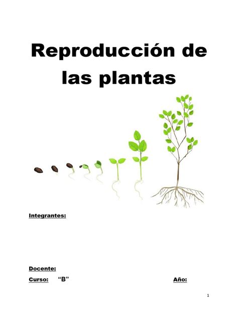 Reproducción De Las Plantas Pdf Flores Reproducción