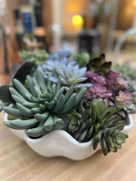 Easy Diy Perfect Faux Succulent Arrangement Tutorial Gal Pal Lifestyle