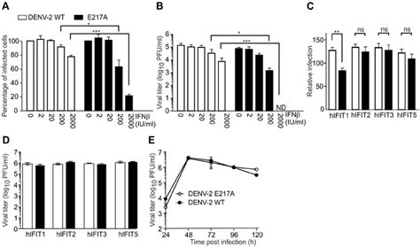 2 9 O MTase Mutant DENV 2 Has Altered Sensitivity To IFN Which Is