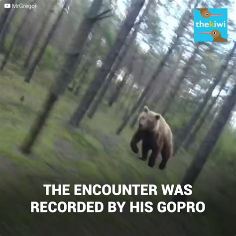 Biker Finds A Grizzly Bear In The Middle Of The Forest Youtube