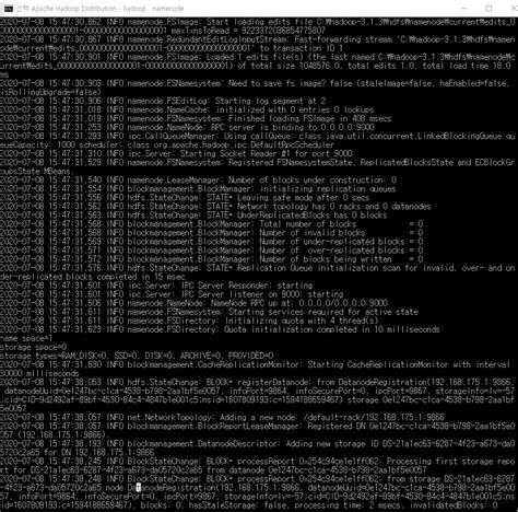 Hadoop Window NameNode DataNode 실행 오류 춤추는 개발자