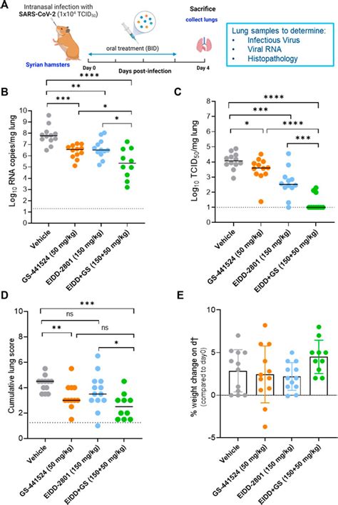 Combination Of The Parent Analogue Of Remdesivir GS 441524 And
