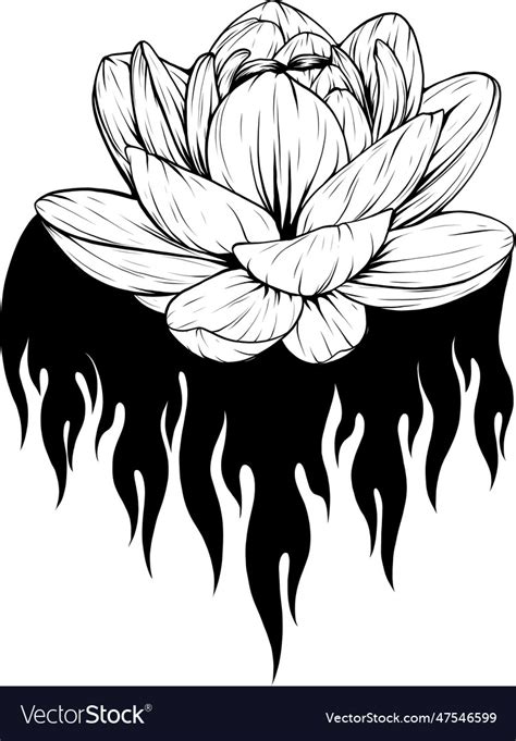 Lotus Flower Outline Design Royalty Free Vector Image