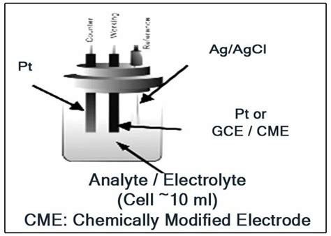Conventional Electrochemical Sensor Unit Download Scientific Diagram