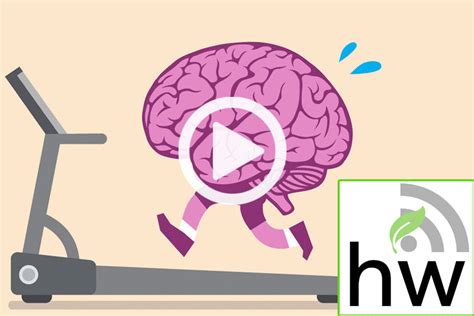 Podcast Brain Basics…keeping Your Brain Healthy Herbworks