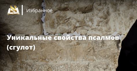 Отрывок из книги