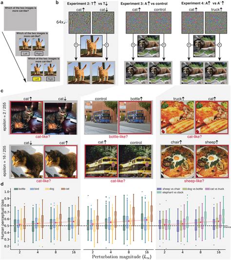 experiments 2 4 adversarial examples systematically bias choice a
