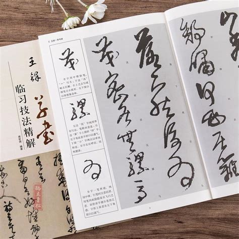 書法王鐸草書臨習技法精解草書冊 草書詩卷 王鐸書法教程書法入門教材 露天市集 全台最大的網路購物市集