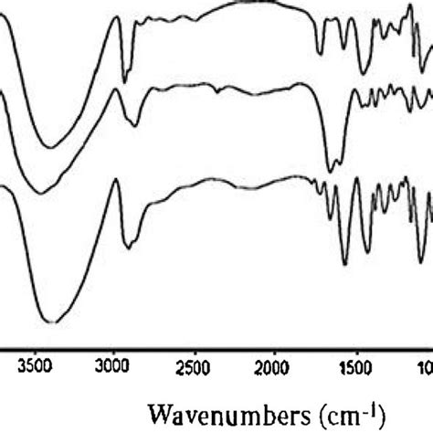 FT IR Spectra Of A PVA B Chitosan And C Chitosan PVA Nanofiber