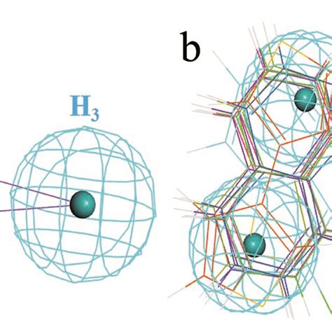 A Selected Common Feature Pharmacophore Model Hypothesis 02
