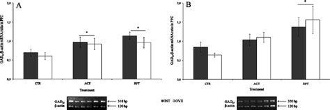 A Gad 65 Mrna Expression Levels In The Pfc After Acute Act Or