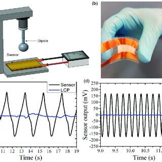 Testing The Sensor Under Low Frequency Dynamic Loads A Schematic Download Scientific Diagram
