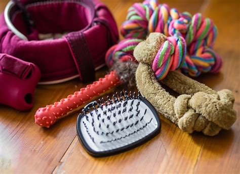 Premium Photo Pet Accessories Still Life With Toy And Food Bowl