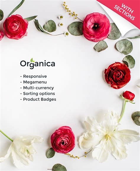 Beauty Templates Archives Zemez Shopify