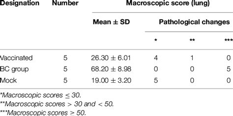 Mean Value ± Sd Of Macroscopic Scores Of The Gross Lung Lesion In Three Download Scientific