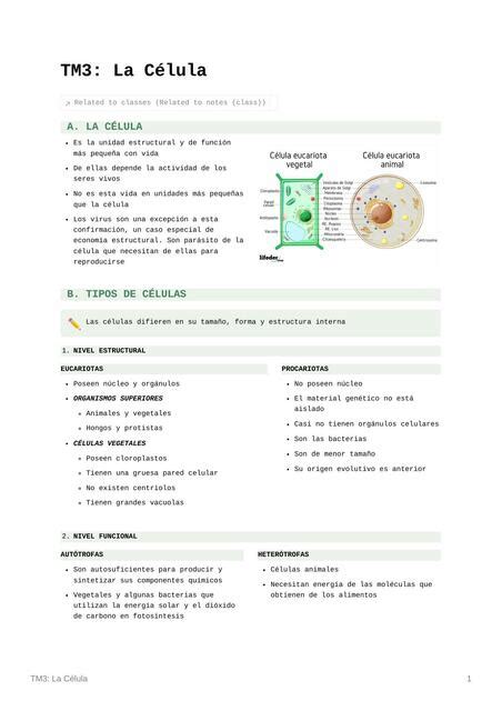 TM3 La Célula Moonlight Studygram uDocz