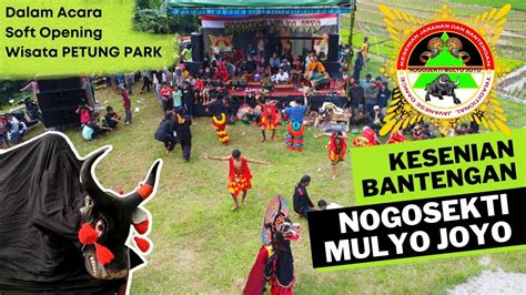 KESENIAN BANTENGAN NOGOSEKTI MULYO JOYO KESURUPAN MASAL YouTube