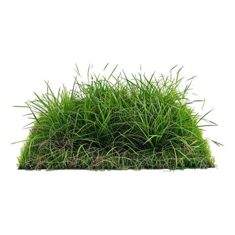 Premium Psd Green Grass Field Isolated