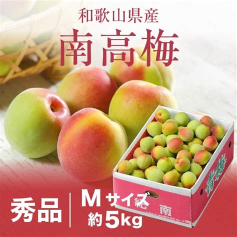 正規認証品新規格 和歌山県産 完熟 紀州南高梅 5kg 大きめサイズ