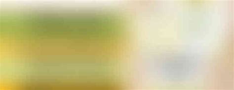 Primary Program Outline Freebie 24