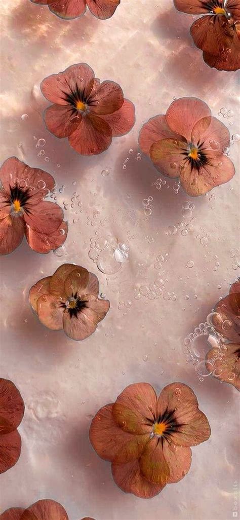 Gailemi Lia Mango Profile Pinterest