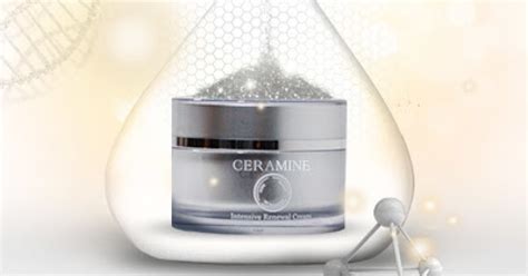 수분크림과 재생크림의 진실과 거짓