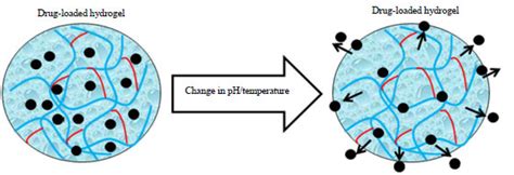 Biomaterials Based Hydrogels And Their Drug Delivery Potentialities