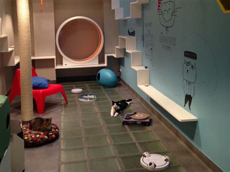 مراحل طراحی دکوراسیون پت شاپ مهندسین مشاور دکتر سرور و همکاران