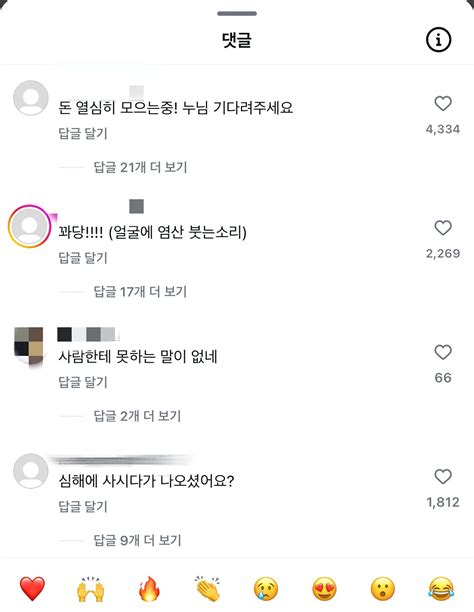 이슈유머 요즘 일반인 여성 인스타에 달리는 댓글 수준