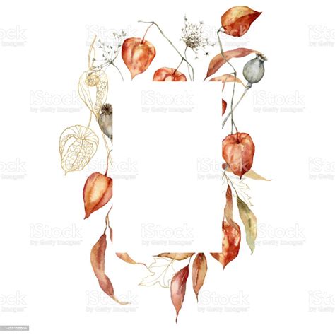 수채화 가을 프레임은 금 Physalis 마른 양귀비와 나뭇잎 흰색 배경에 격리된 손으로 그린 선형 꽃 디자인 인쇄 패브릭 또는
