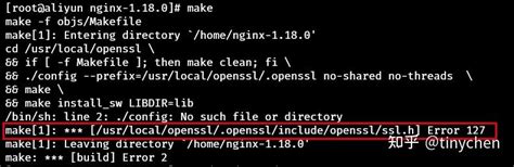 Nginx Tlsv