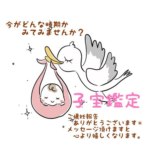 子宝鑑定 ︎性別予報 四柱推命 子宝占い メルカリ