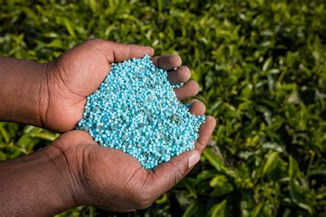 Fertilizantes Qué Son Y Para Qué Sirven Tipos De 52 OFF
