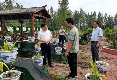 湖北省科协助力乡村振兴