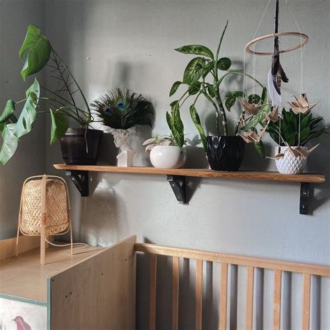 Полка с растениями сканди | Полка для растений, Растения, Интерьер