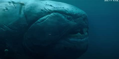 Dunkleosteus Life On Our Planet Wiki Fandom