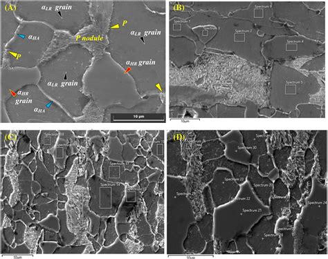 Fatigue Crack Microstructures