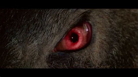 《西游降魔篇》猪刚鬣爆力撞战车高清1080p在线观看平台腾讯视频