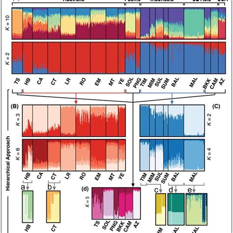 Structure Plots Of Nine Microsatellite Loci For 366 Samples Of Aedes