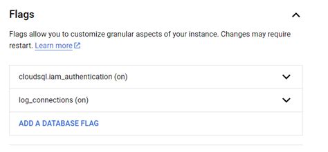 Postgresql Gcp Identify Which Iam User Executes A Cloud Sql Connection In The Logs Stack