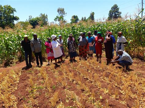 Diversification For Resilient Agrifood Systems In Kenya