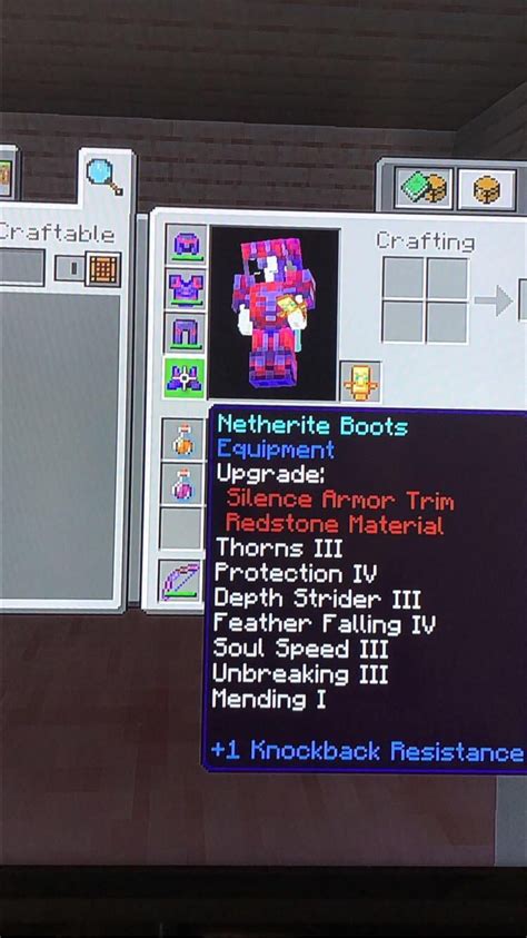 This Is My Armor Fully Maxed Out 😼 Rminecraft