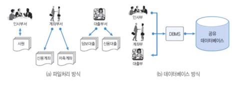 컴퓨터 개론 10 1 데이터베이스의 개념 배고픈 개발자